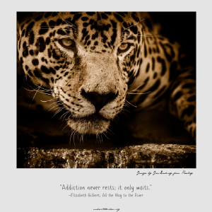 Gems 12.08 | under1000skies